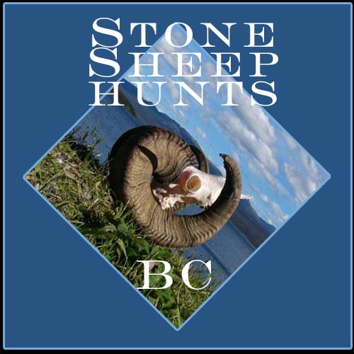 Stone Sheep Hunts in British Columbia - Stone Sheep Hunting